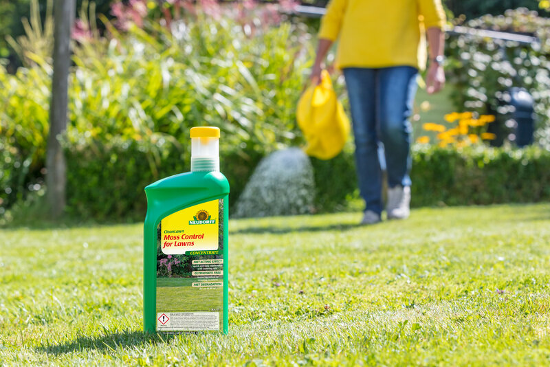 Moss control in lawns store