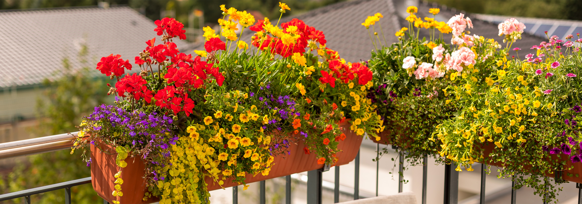 Neudorff : neudorff.co.uk